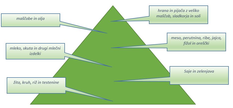 Prehranska piramida za otroke-5 slojev prehranske piramide